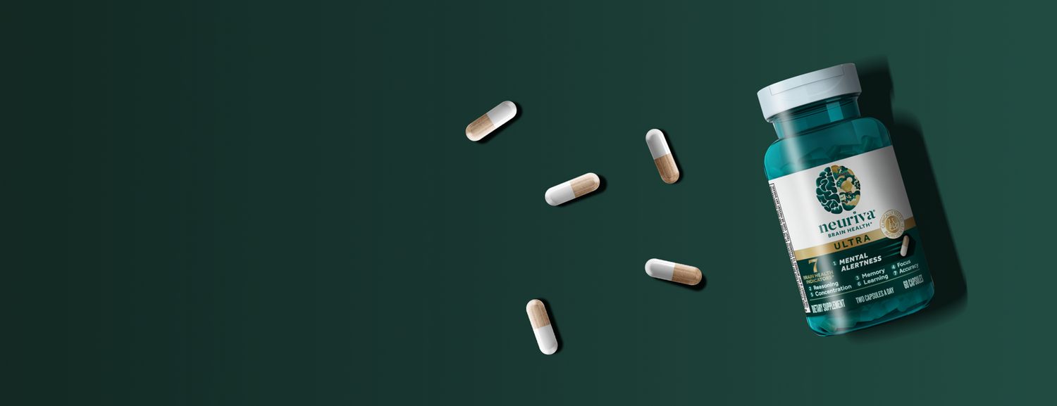 Neuriva Ingredients – Schiff Vitamins