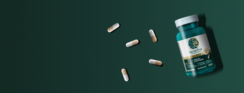 Neuriva Ingredients – Schiff Vitamins